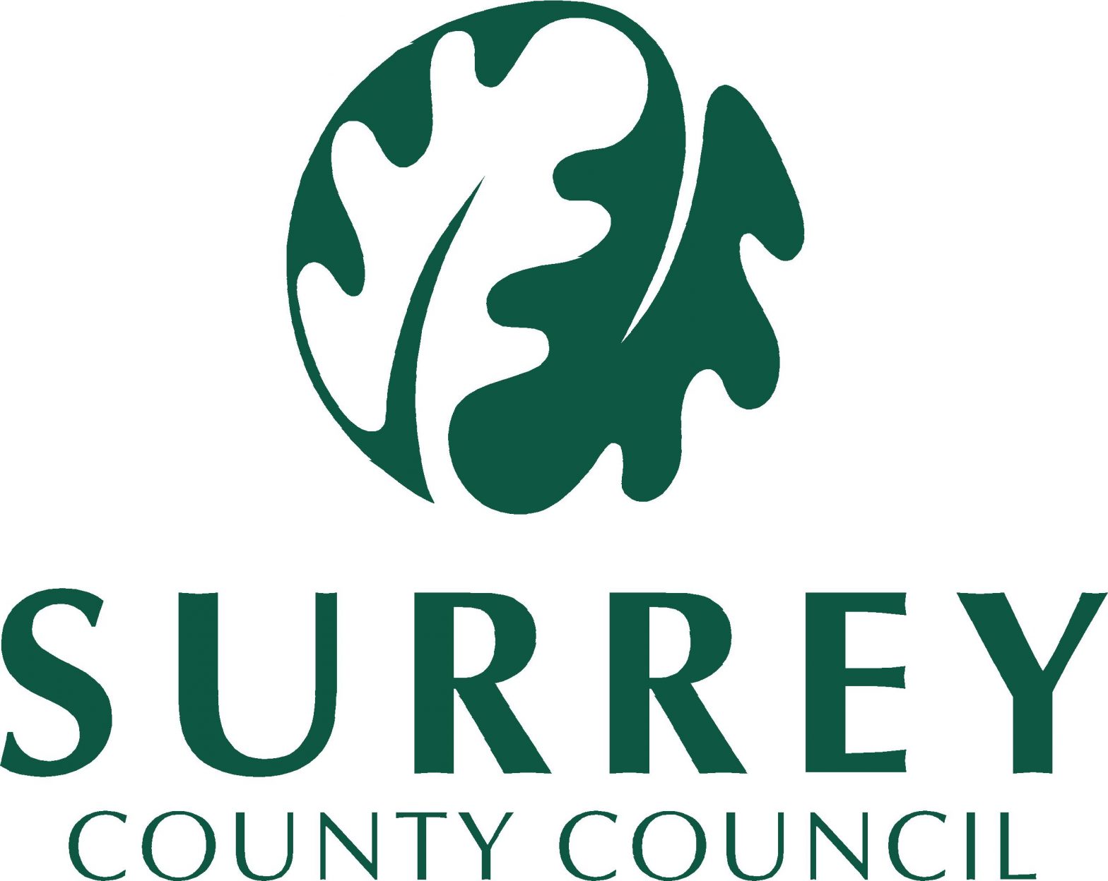 surrey-cc-logo - Stripey Stork