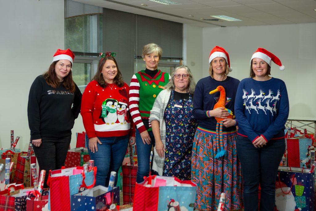 Project Team - Stripey Stork